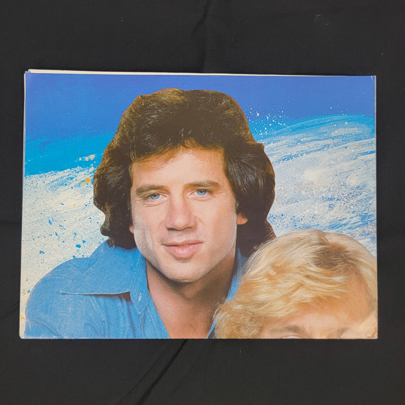 Weekly Reader Book Club Dukes Of Hazzard Poster - 1980 – Lost Sheep ...